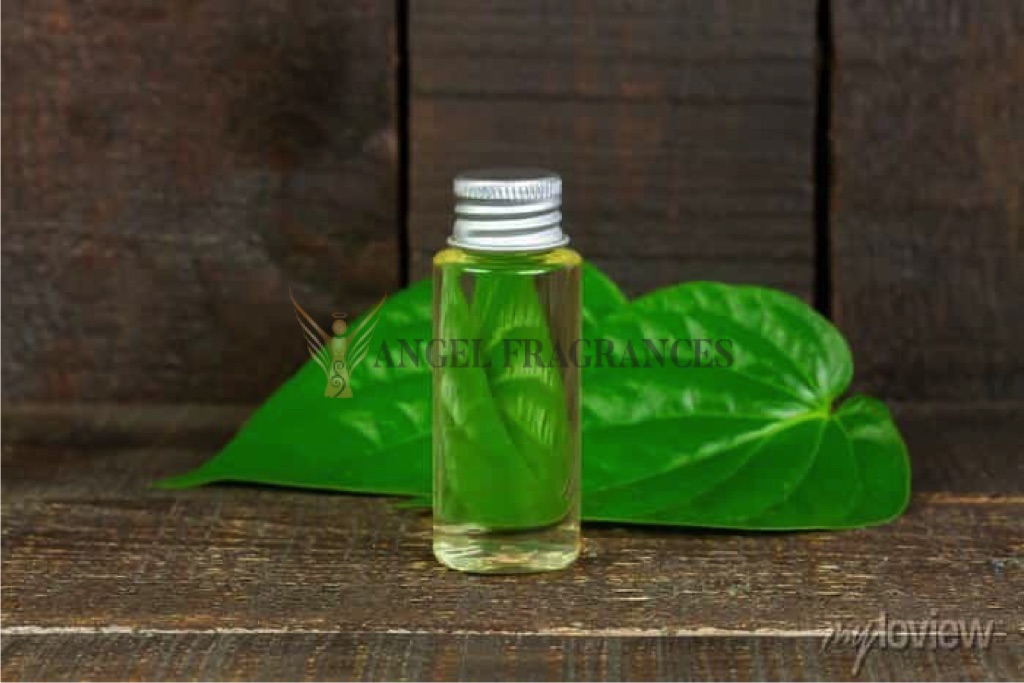 Betel Leaf Natural Essential Oil Supplier and Provider in Dubai