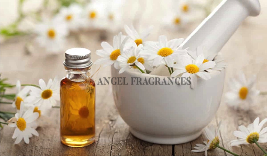 Provider of Chamomile Natural Essential Oil in Dubai